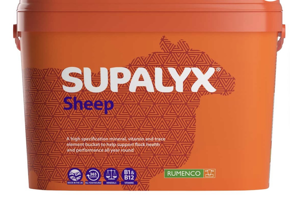 Supalyx sheep buckets 22.5kg - Rutland Pet Supplies