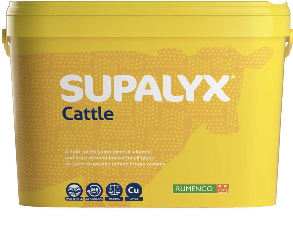 Supalyx cattle bucket 22.5kg - Rutland Pet Supplies